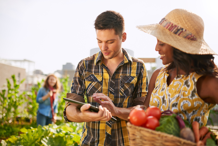 How to Sell Produce to Restaurants: 11 Tips for Modern Farmers ...